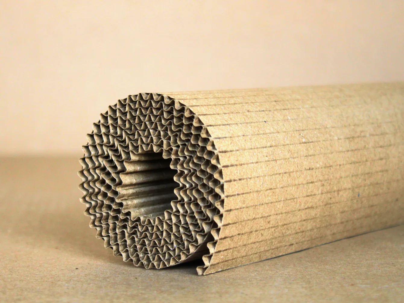 Robust and Reliable Packaging Solutions | Packrough